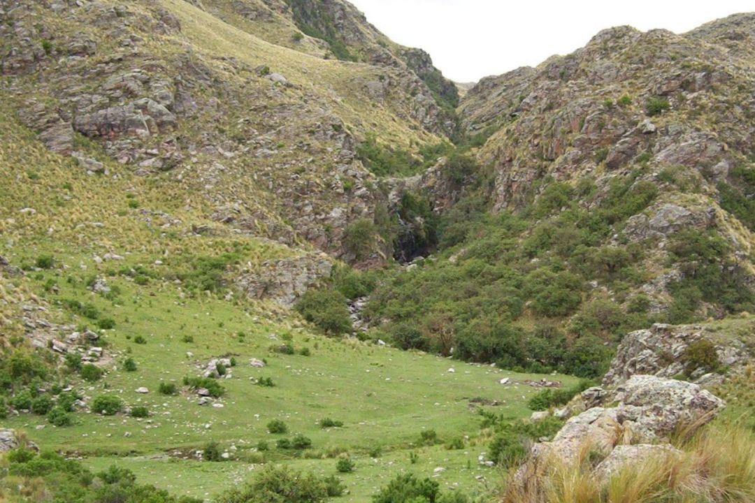 Aguada del Bosque, te invita a descubrir la sierra | Los Molles, San ...